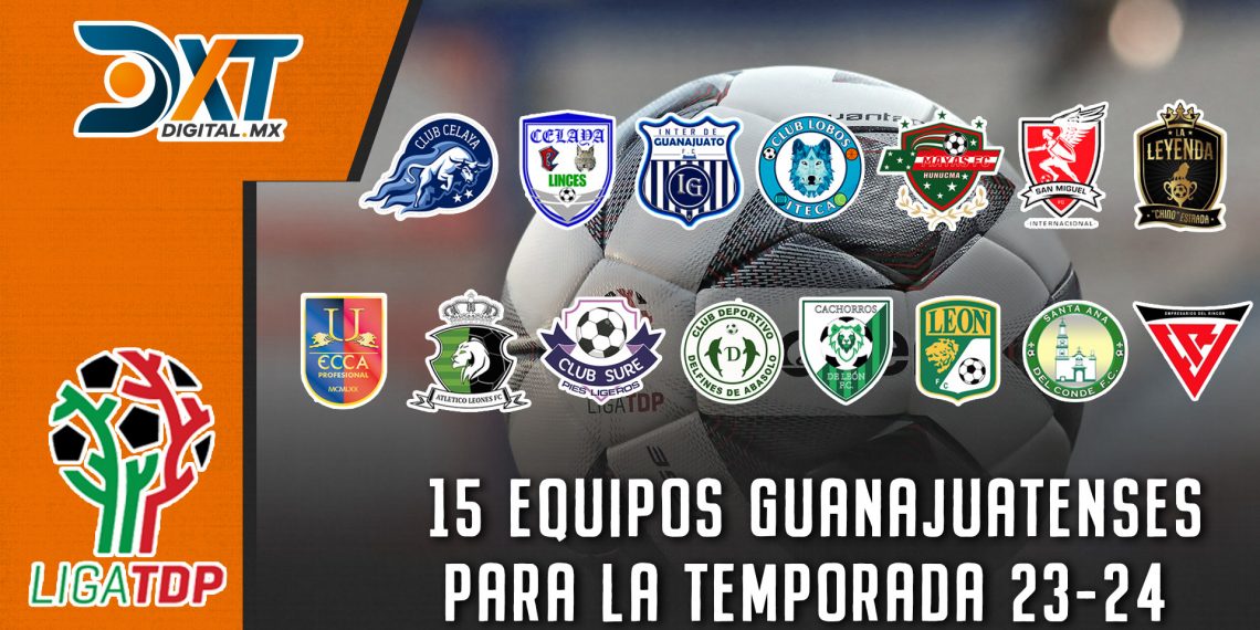 Dicen presente 15 equipos de Guanajuato en la Liga TDP 2023-2024 ...
