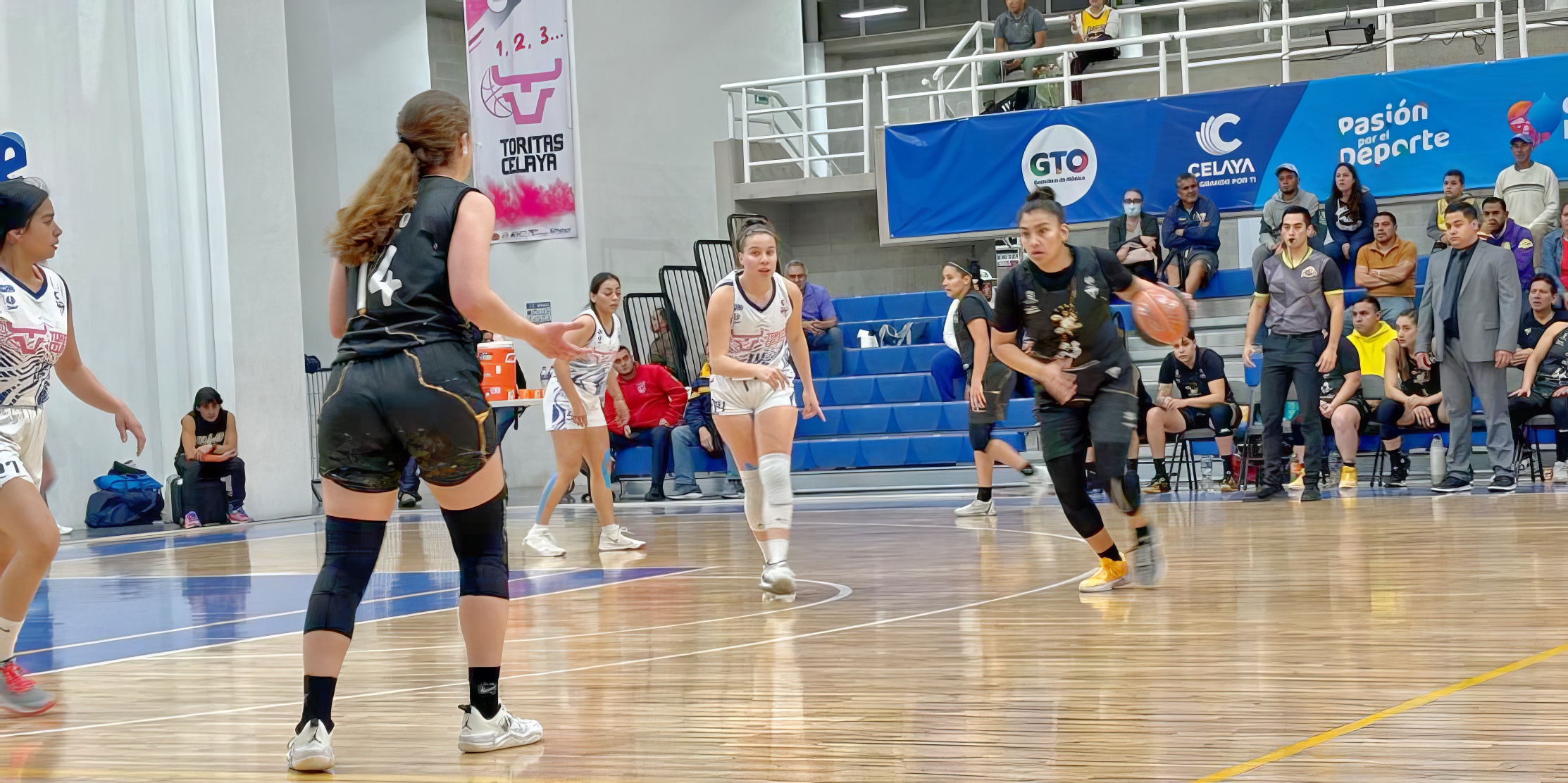 Mieleras se lleva el derbi guanajuatense ante las Toritas de Celaya ...